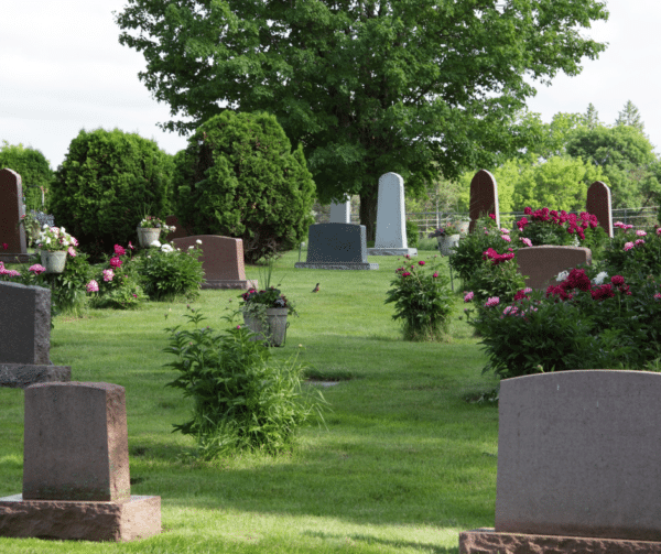 Understanding A Memorial Cemetery